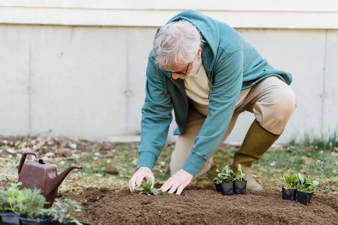 Fall Planting Guide for Native Plants: Ultimate Tips 2025