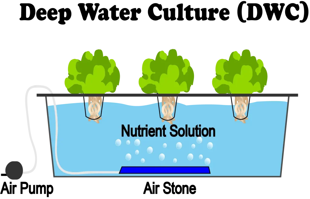 How to Start a Hydroponic Garden at Home: Easy Guide 2025