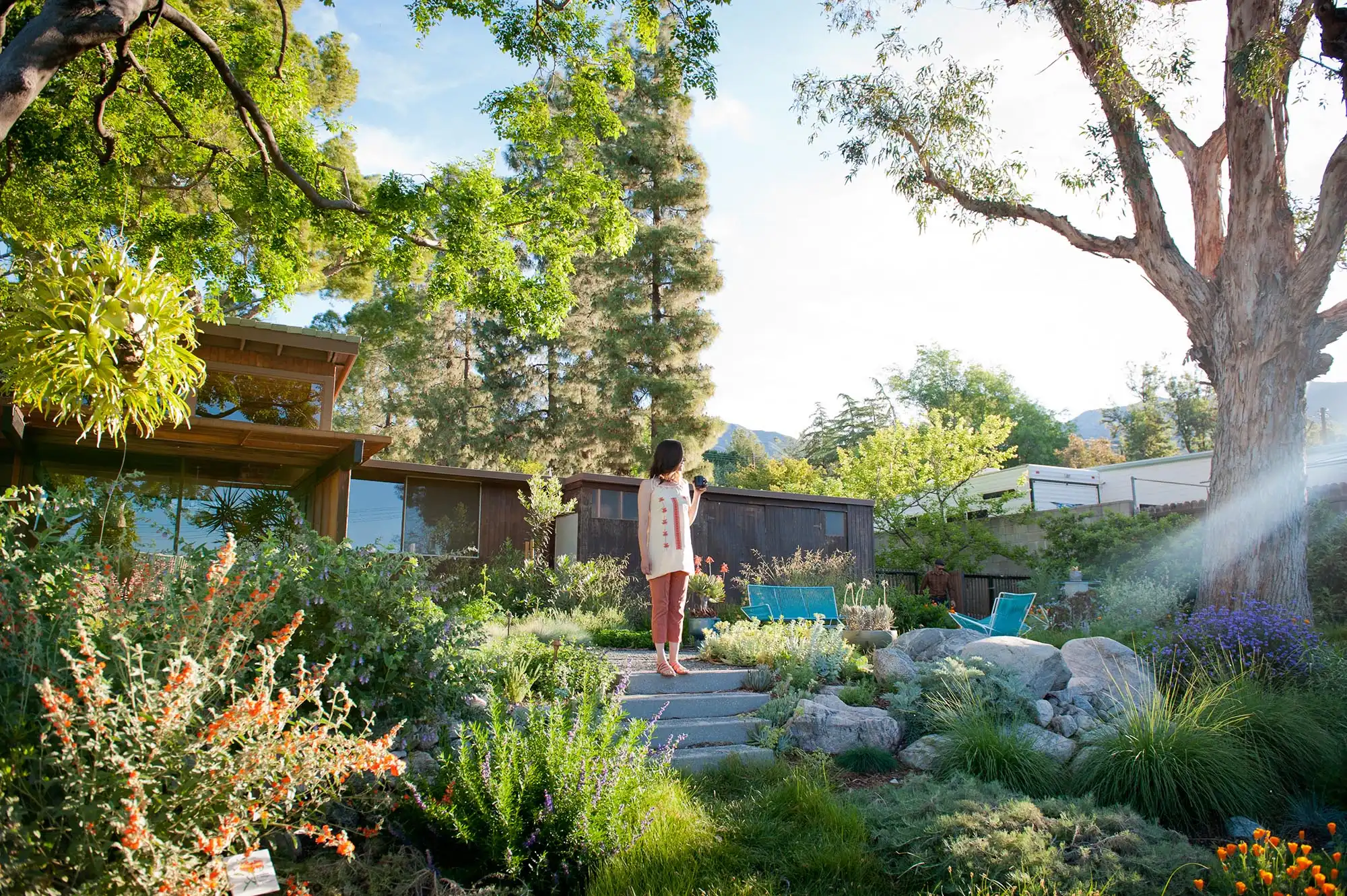 Smart & Safe Fire-Resistant Landscaping Plants for California