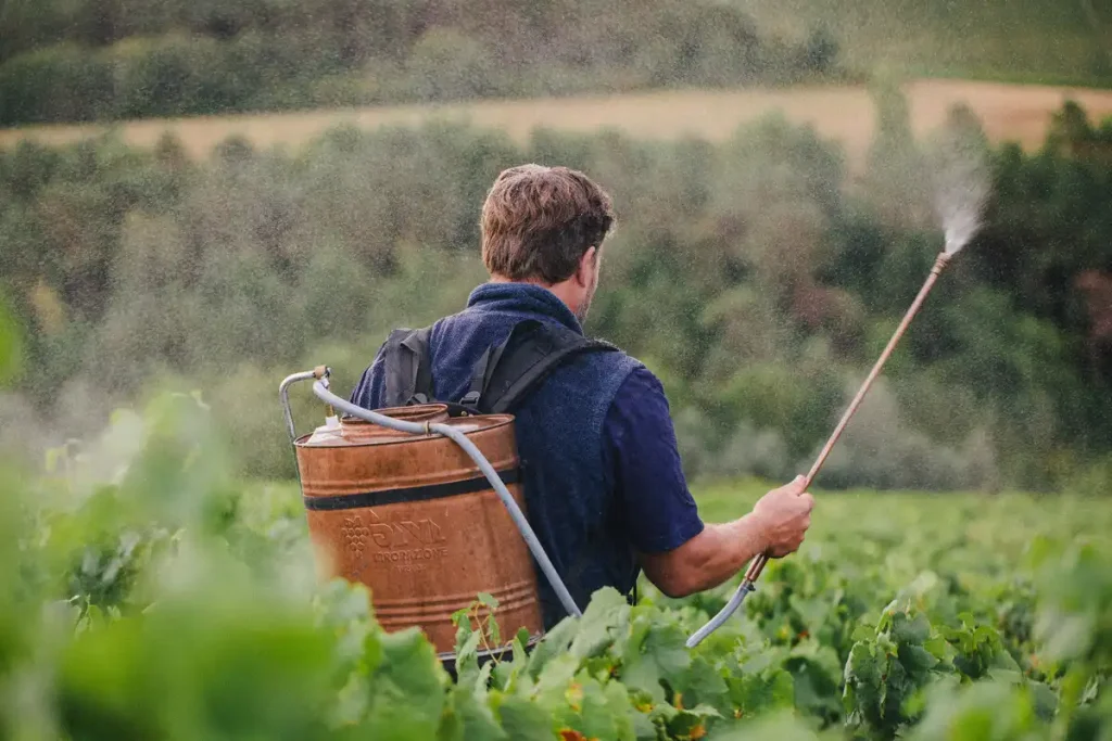 Start Biodynamic Gardening for Vibrant Harvests 2025
