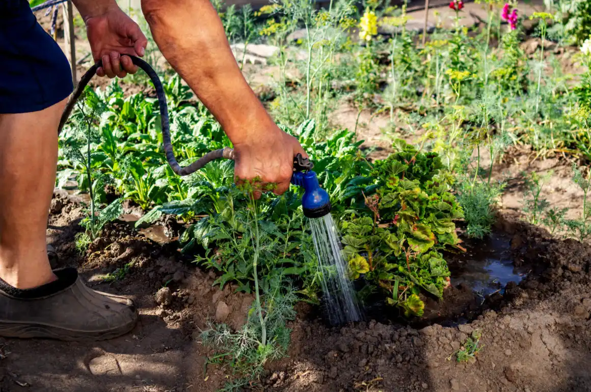 Ultimate Water-Efficient Gardening for Drought Areass 2025