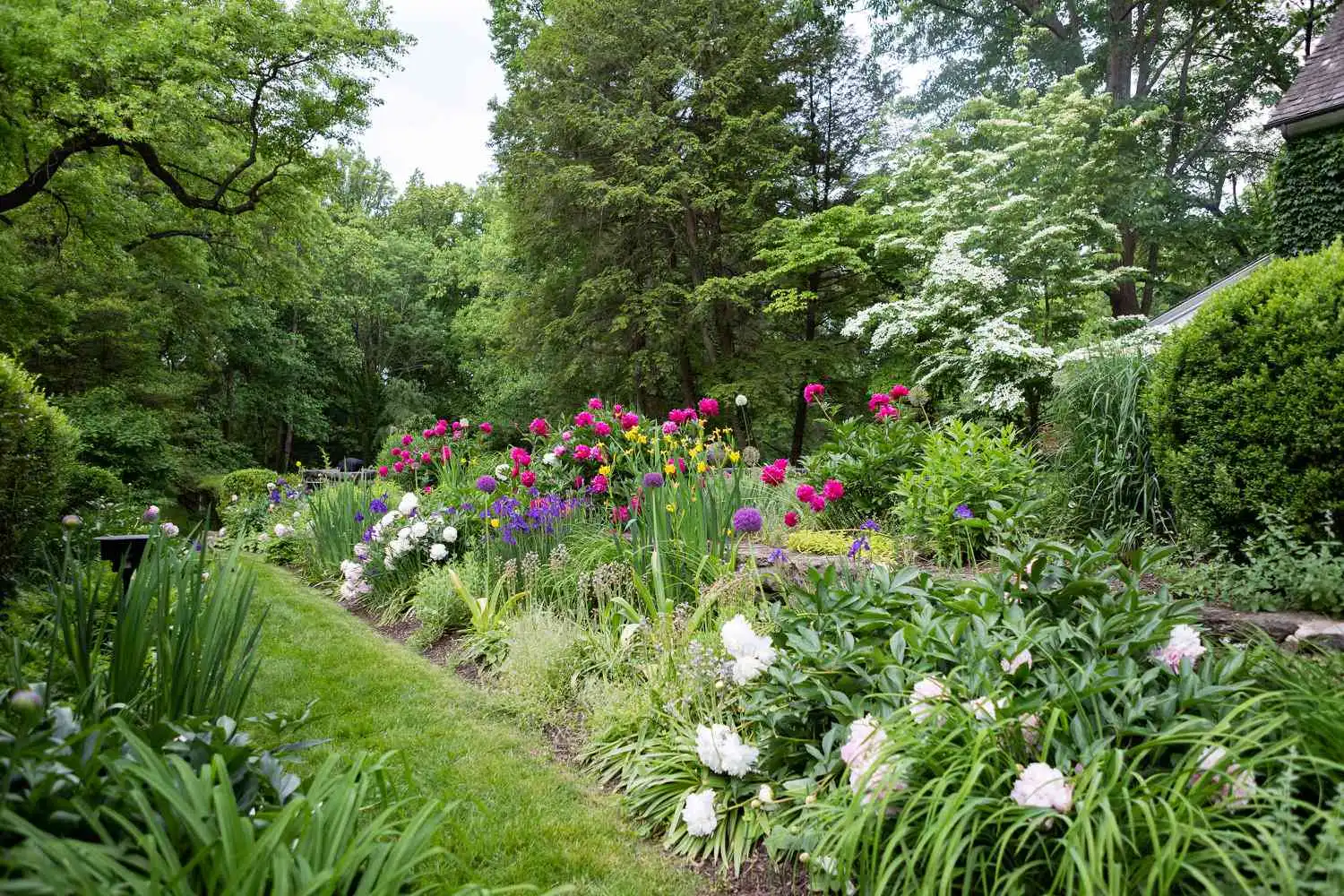 Amazing Planting Perennials for Beautiful Multi-Year Gardens2025