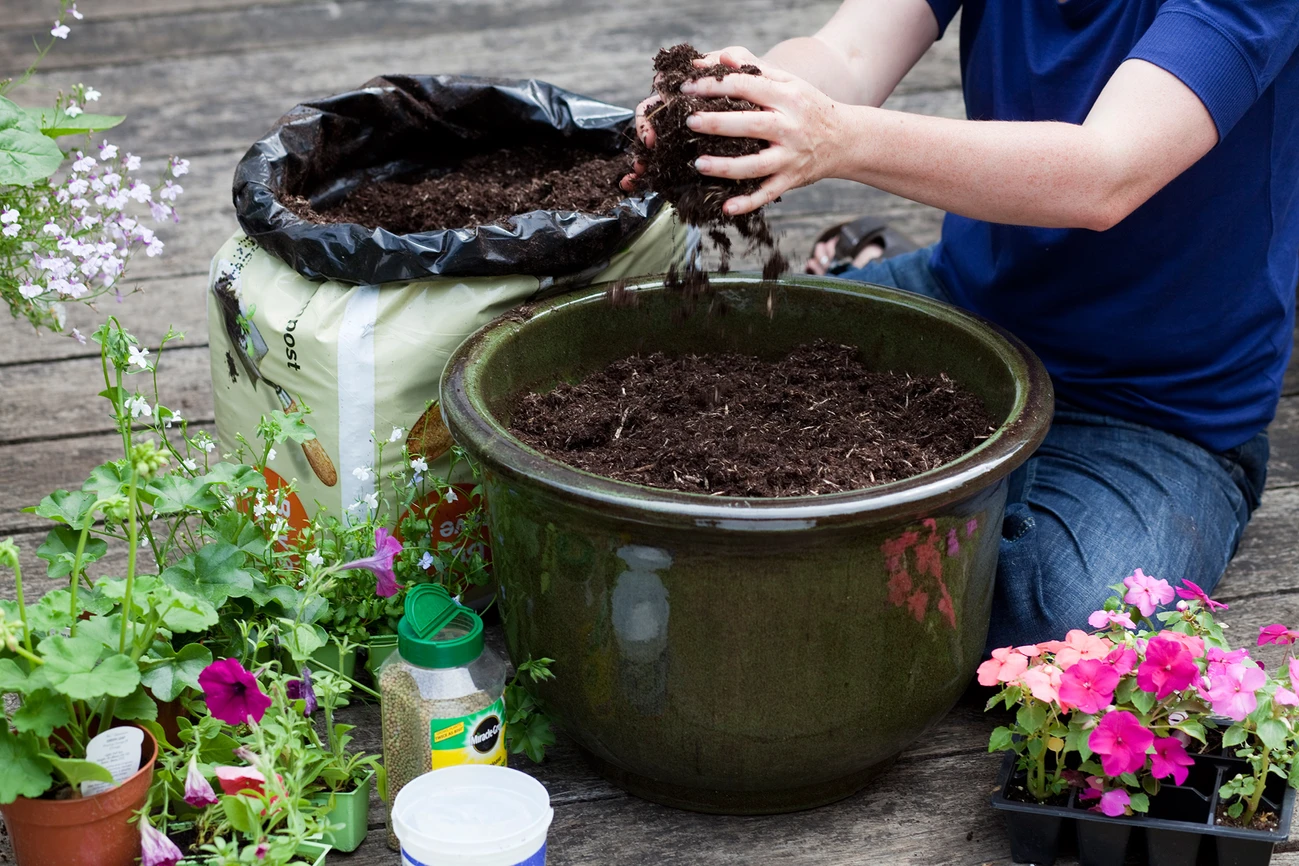 Manage Soil Depth in Container Gardening Effectively 2024